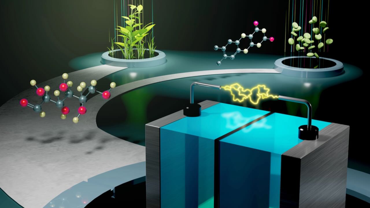 Lo viste en Matrix: los científicos idean una batería de azúcar y ...